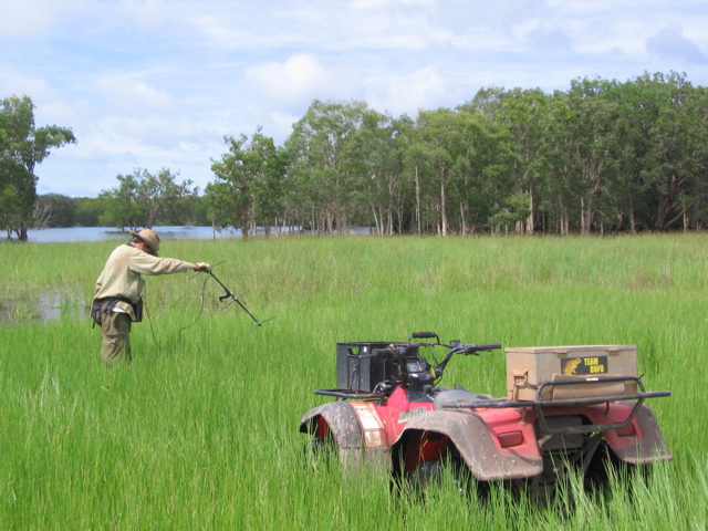 Debunking Cane Toad Control Myths